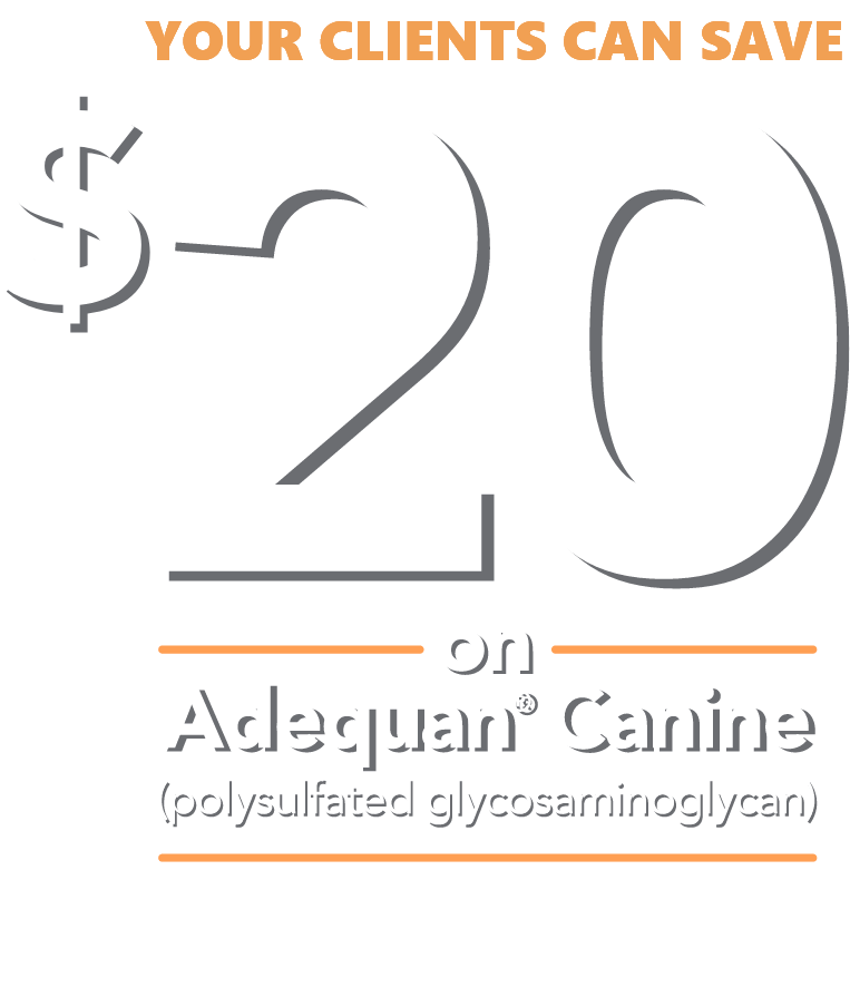 Help Dog Owners Save on Adequan Canine PSGAG